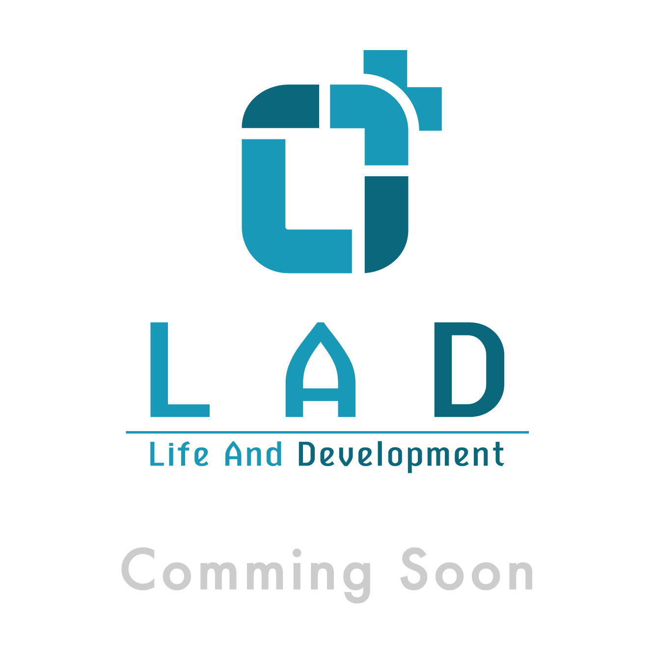 LADについて | 株式会社LAD